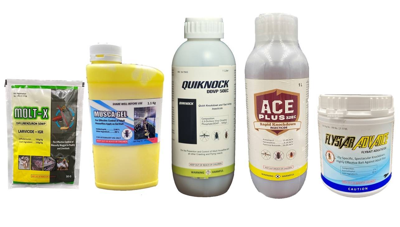 Best Fly Control Methods In Dubai | Fly control services in Dubai