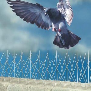 BEST BIRD CONTROL METHODS | Solutions for Pest Birds