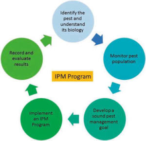 INTEGRATED PEST MANAGEMENT - Best pest control and Cleaning Services ...