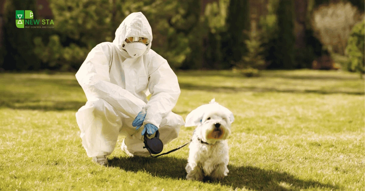 Pet-Friendly Pest Control Tips | Safe Home for Your Pets